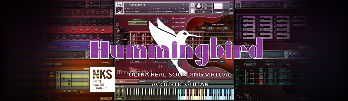 Hummingbird | Products | Prominy