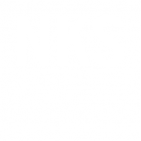 SC Electric Guitar 2 | Products | Prominy